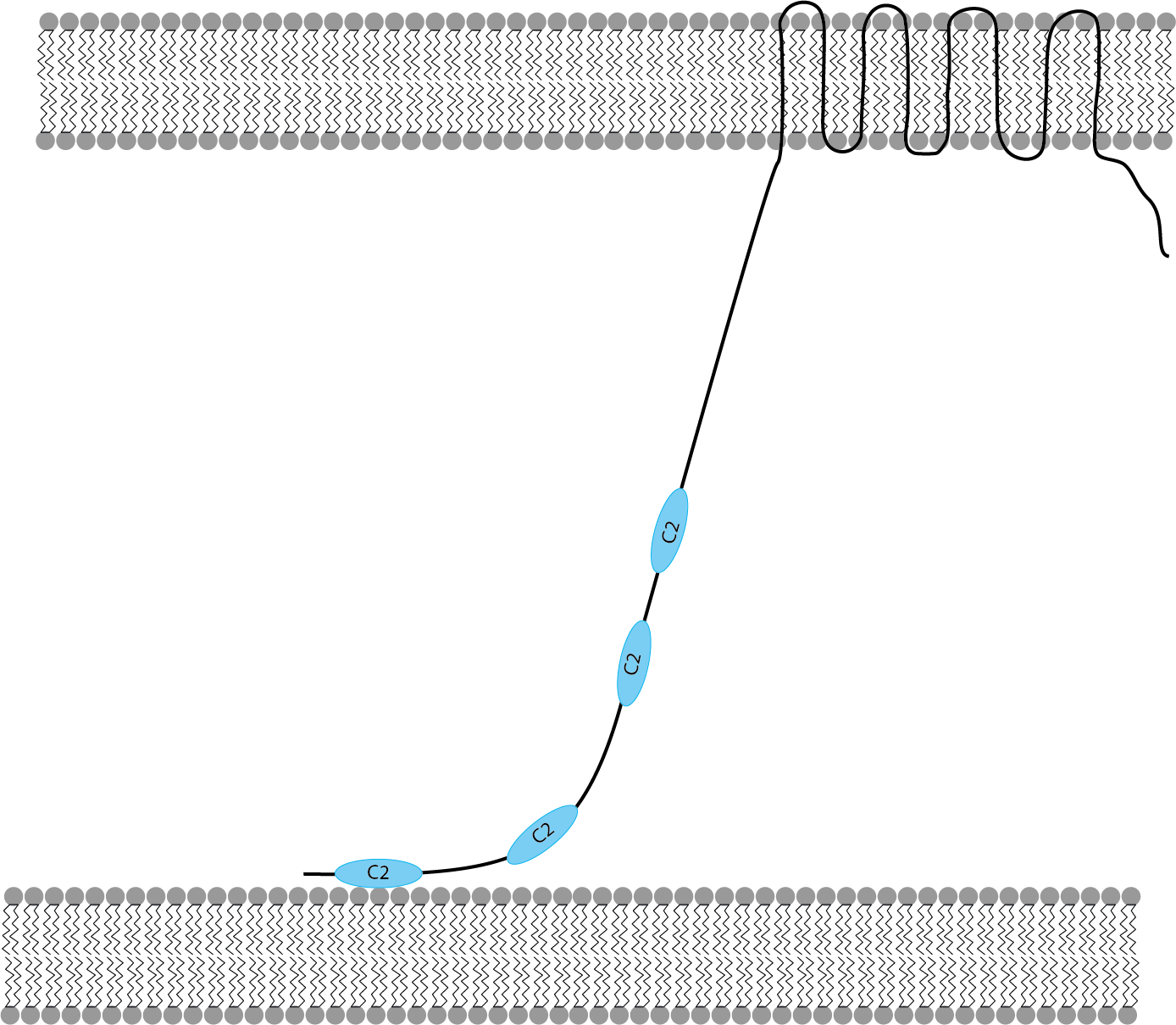 Tethered to science – Plant en Zo