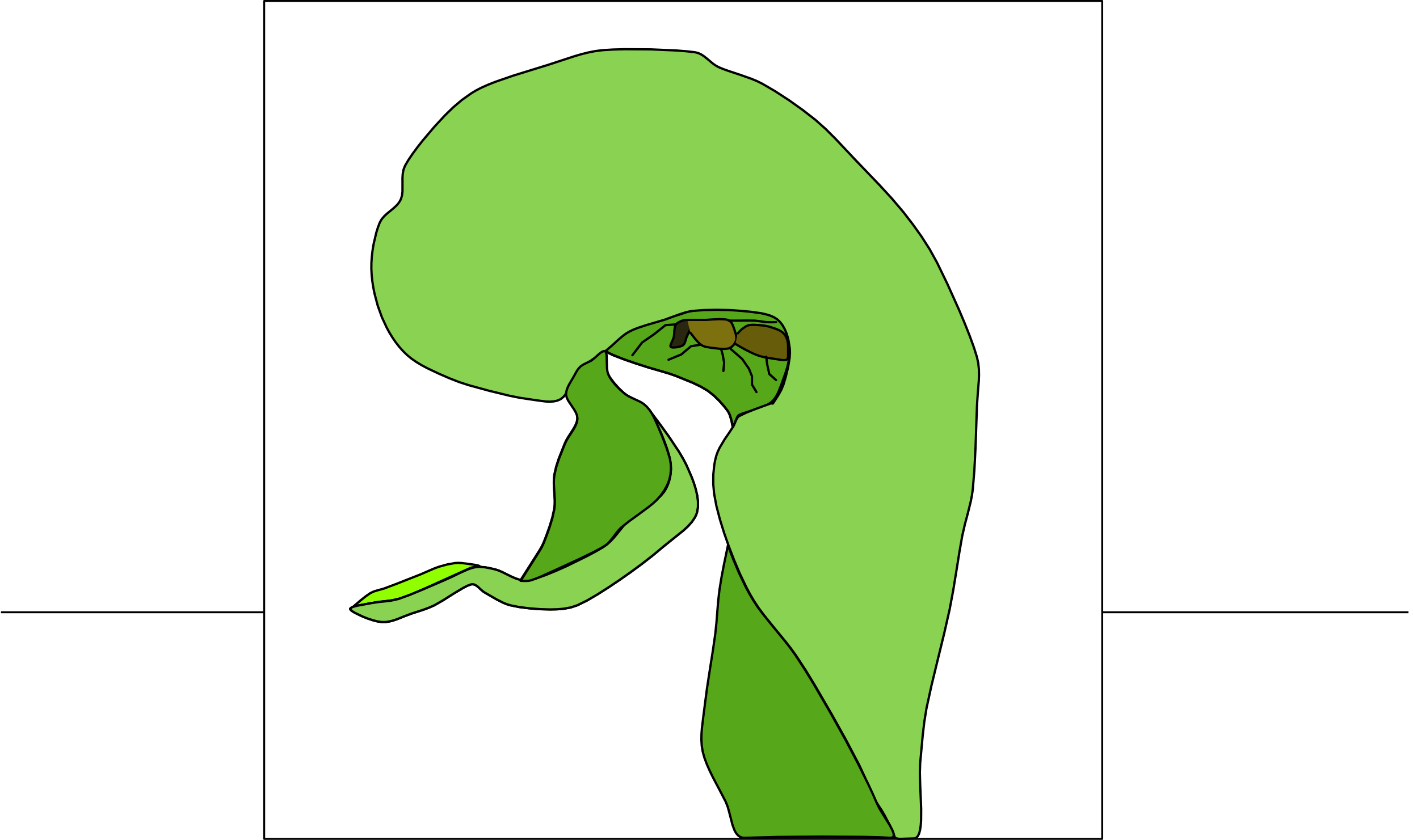 Pitcher plant not a strict predator after all – Plant en Zo